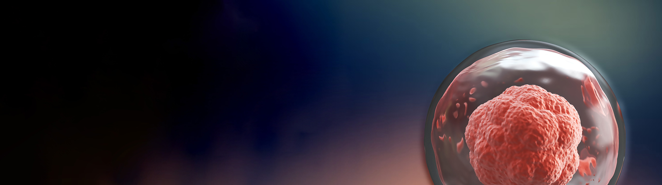 tRNA, rRNA and the Codon Code Video Tutorial & Practice | Pearson+ Channels