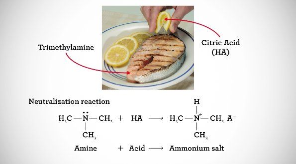 Amino acids at Physiological pH | Pearson+ Channels