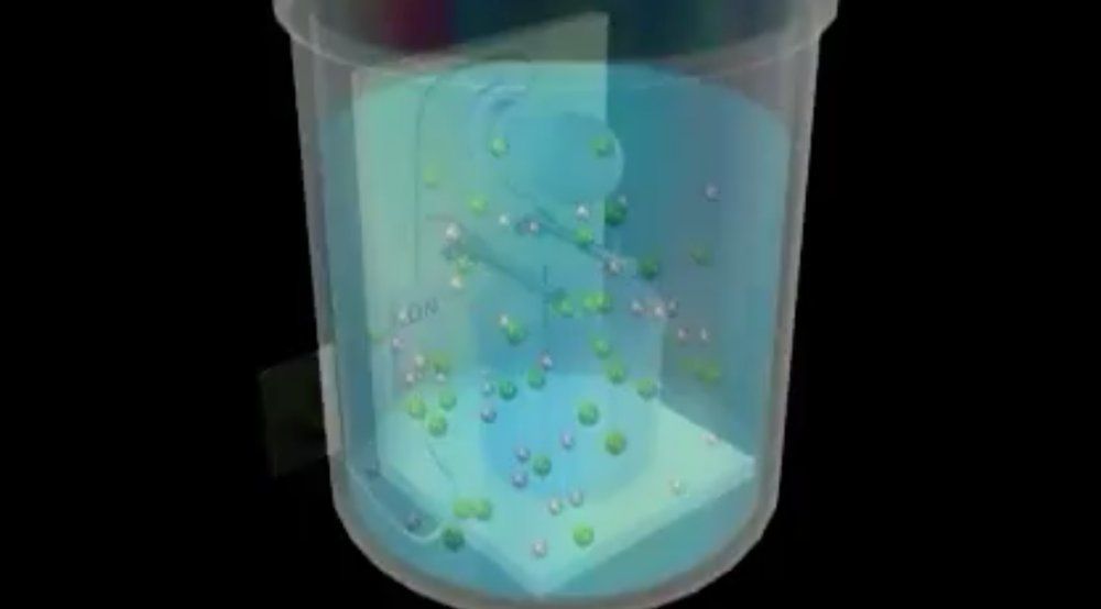 CHEMISTRY 101 - Electrolyte and nonelectrolyte solutions | Pearson+ ...