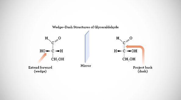 Fischer Projections of Monosaccharides | Pearson+ Channels