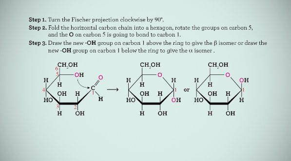 Fischer Projections of Monosaccharides | Pearson+ Channels
