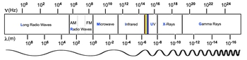 Electromagnetic Spectrum Video Tutorial & Practice | Pearson+ Channels