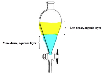 Extraction Video Tutorial & Practice | Pearson+ Channels