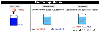 Thermal Equilibrium Video Tutorial & Practice | Pearson+ Channels