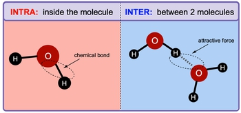 Intermolecular Forces Video Tutorial & Practice | Pearson+ Channels