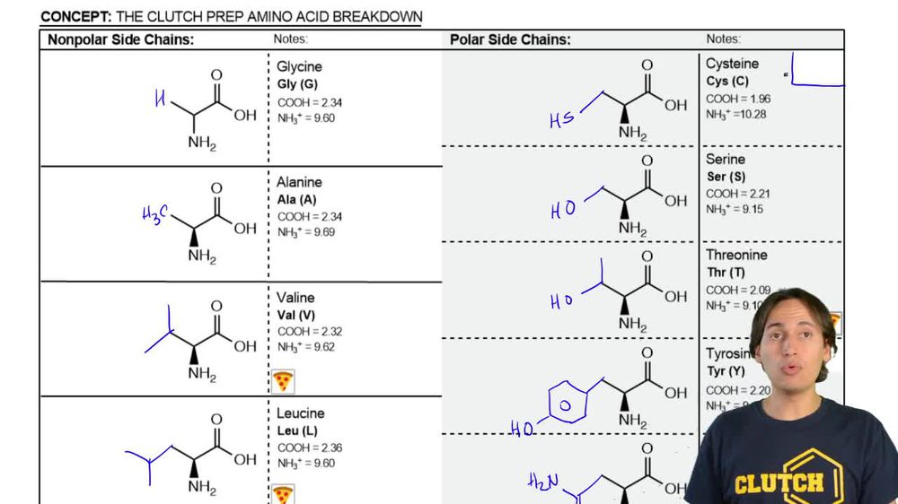 Determining Predominant Forms | Pearson+ Channels
