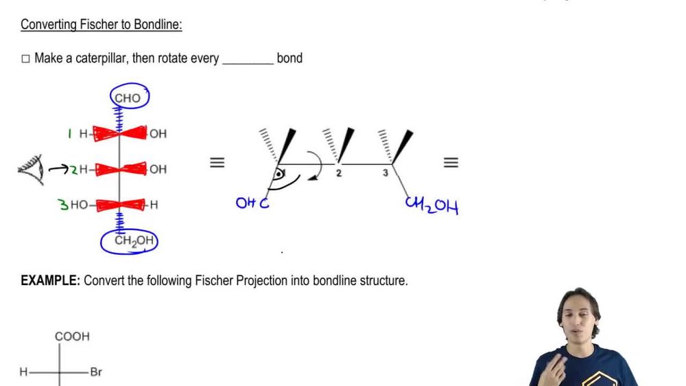 Introduction to different projections. | Pearson+ Channels