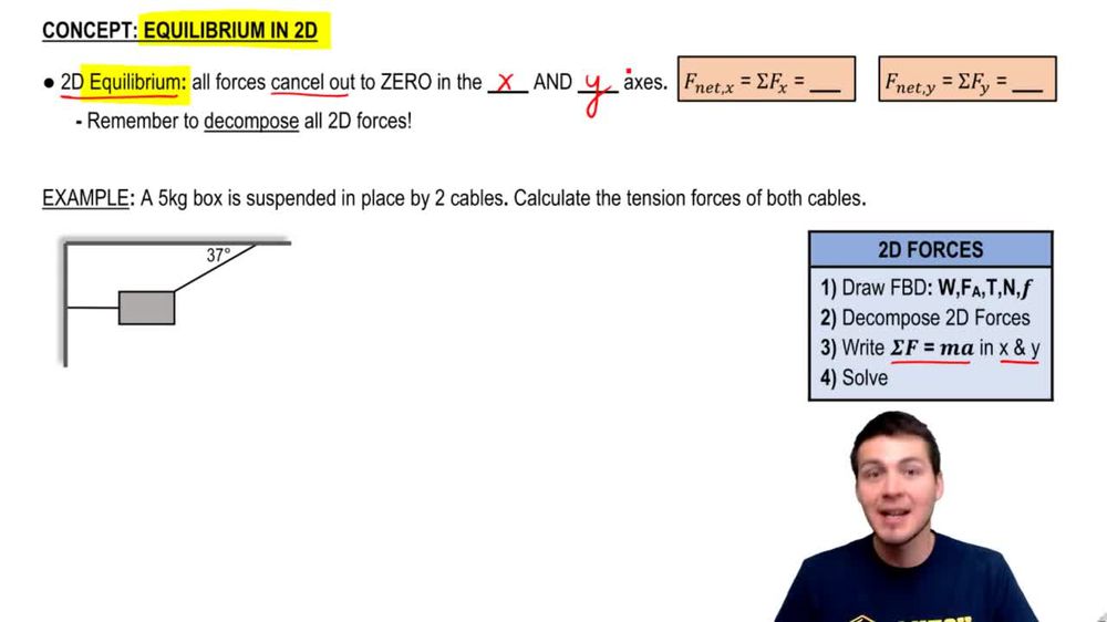 equilibrium forces | Pearson+ Channels