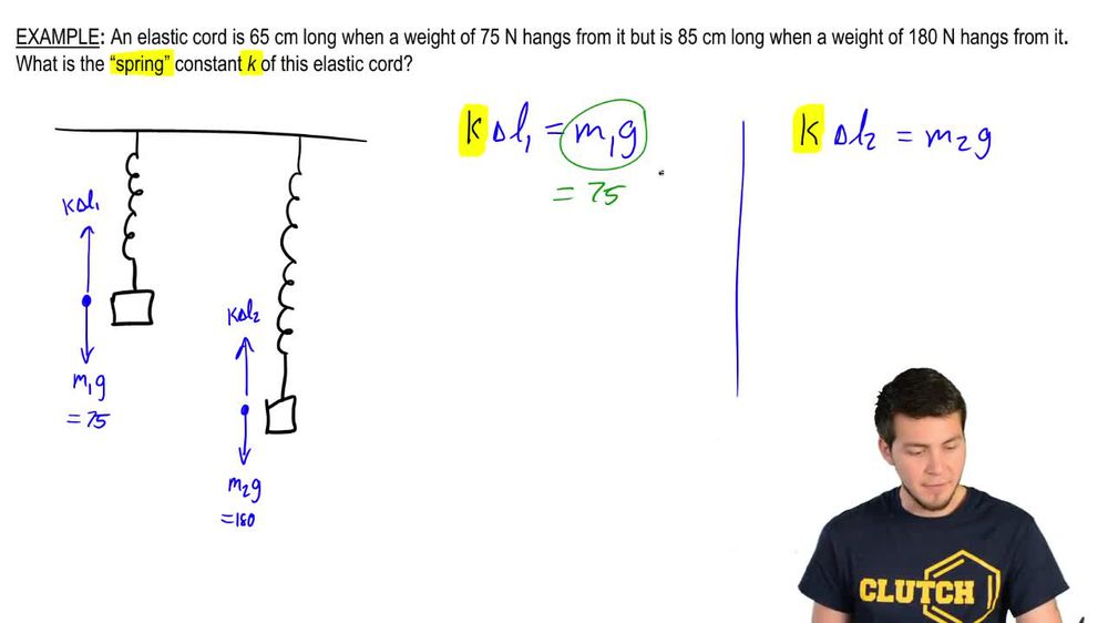 Simple Harmonic Motion 3 - Mass on a vertical spring | Pearson+ Channels